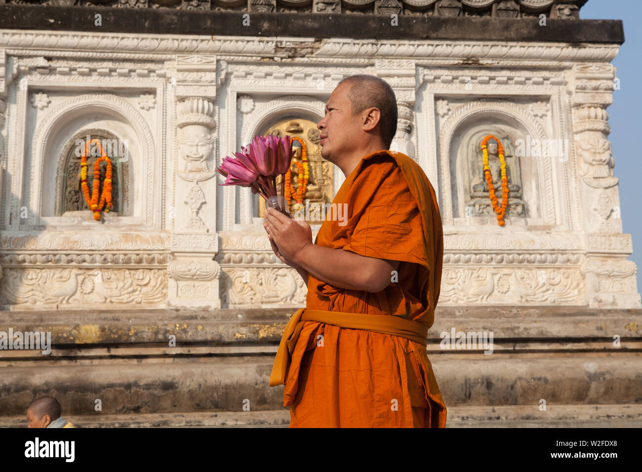 A Buddhist monk praying at the Mahabodhi Temple in Bodhgaya, India ...