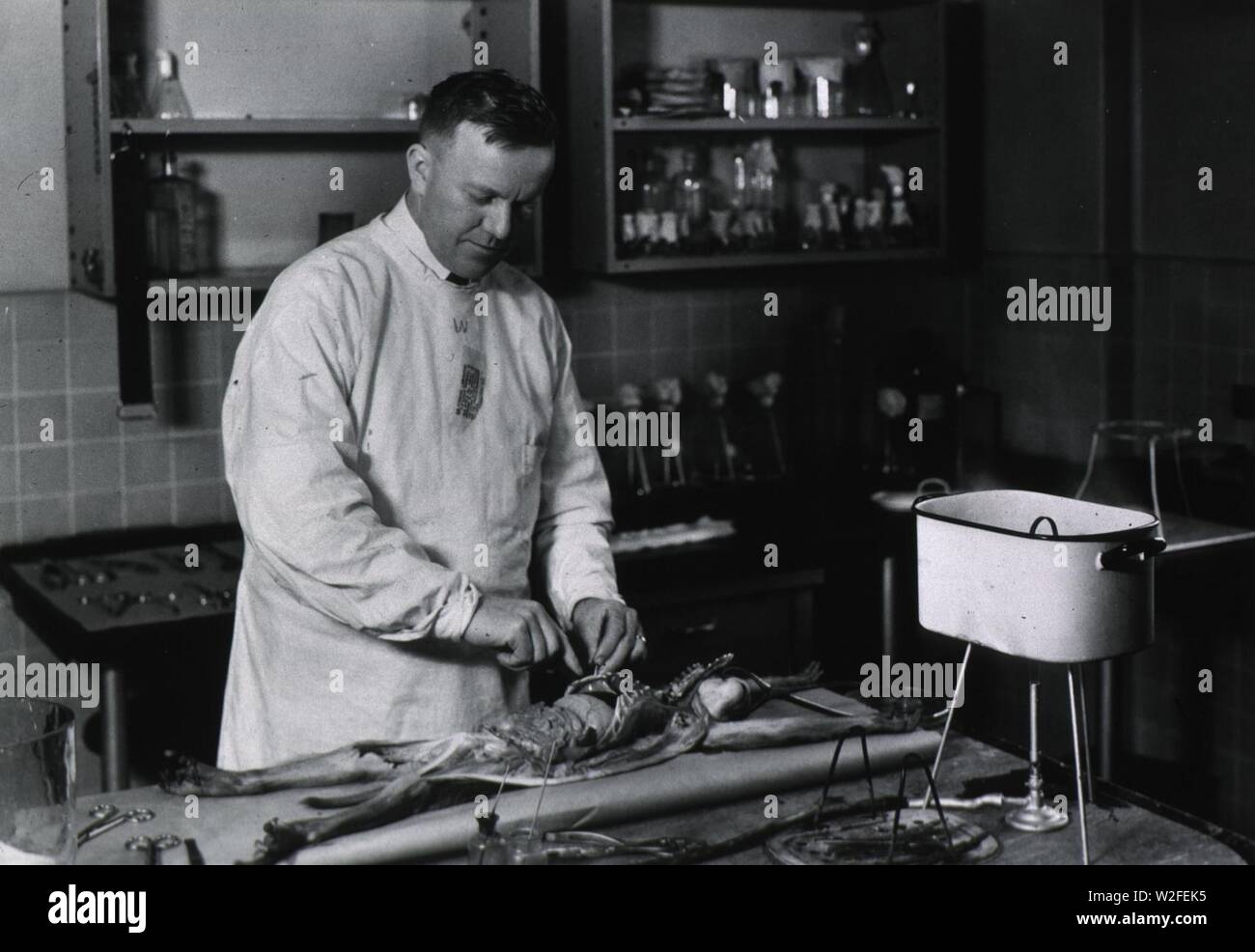 Charles Armstrong lab2 Stock Photo - Alamy