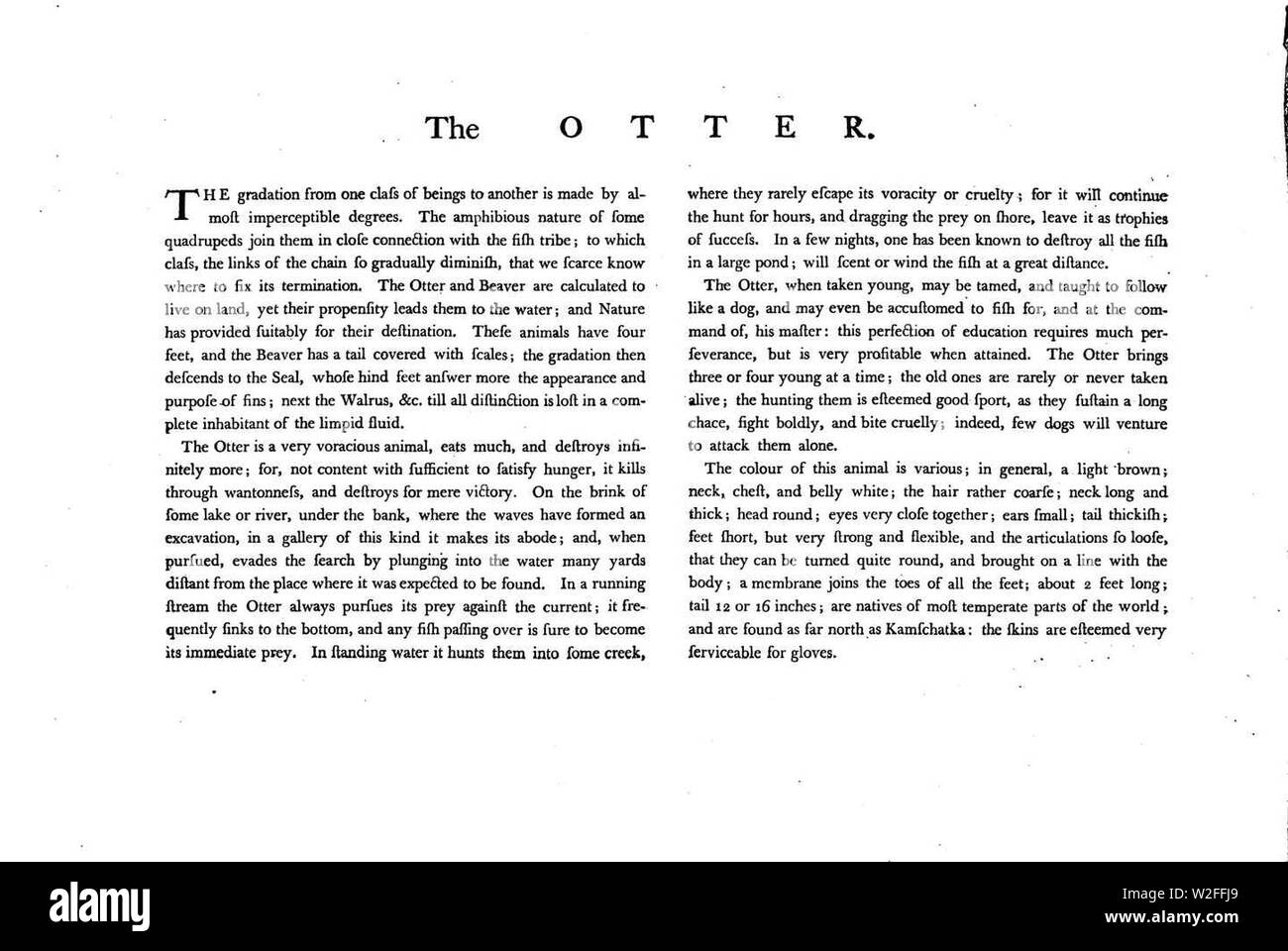 Catton Black and White Stock Photos & Images - Alamy