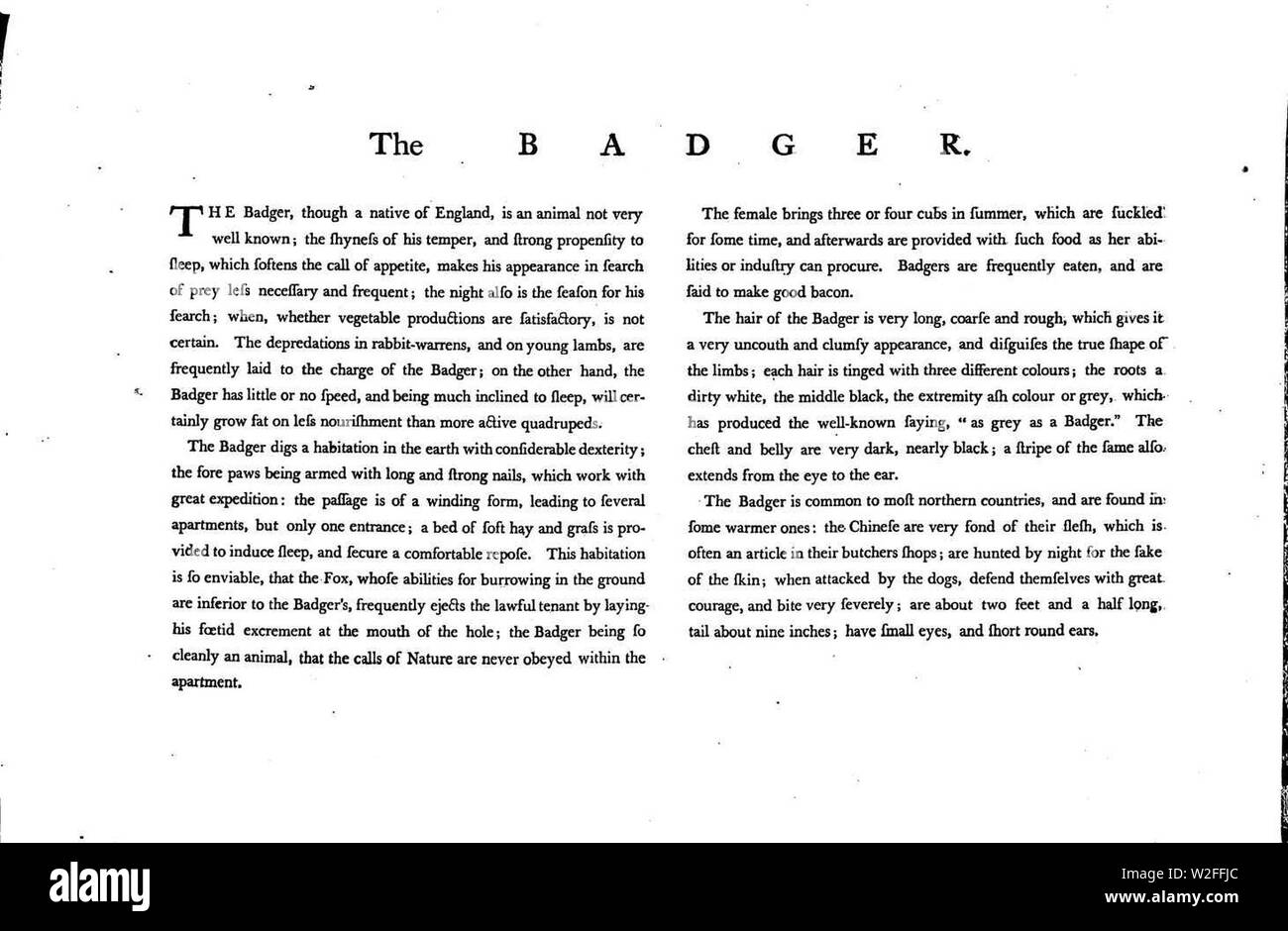 Catton Black and White Stock Photos & Images - Alamy