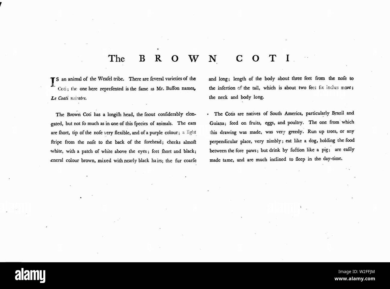 Catton Black and White Stock Photos & Images - Alamy