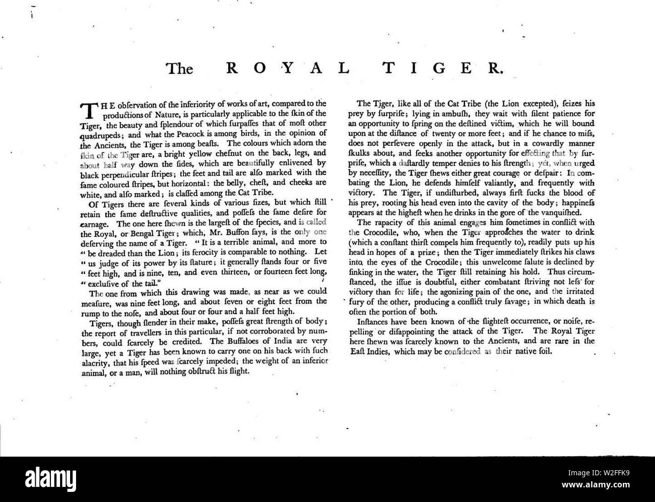 Catton Black and White Stock Photos & Images - Alamy