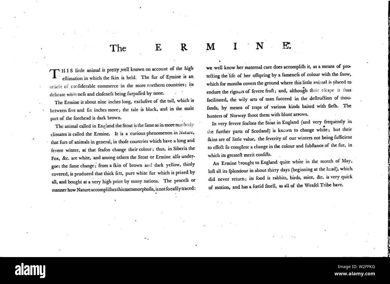 Catton Black and White Stock Photos & Images - Alamy