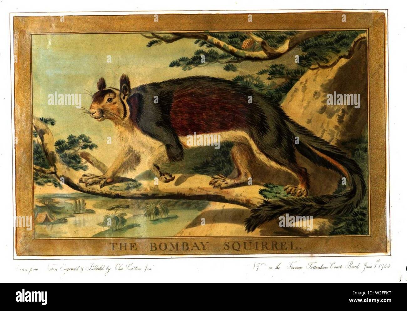 Image1 hi-res stock photography and images - Alamy