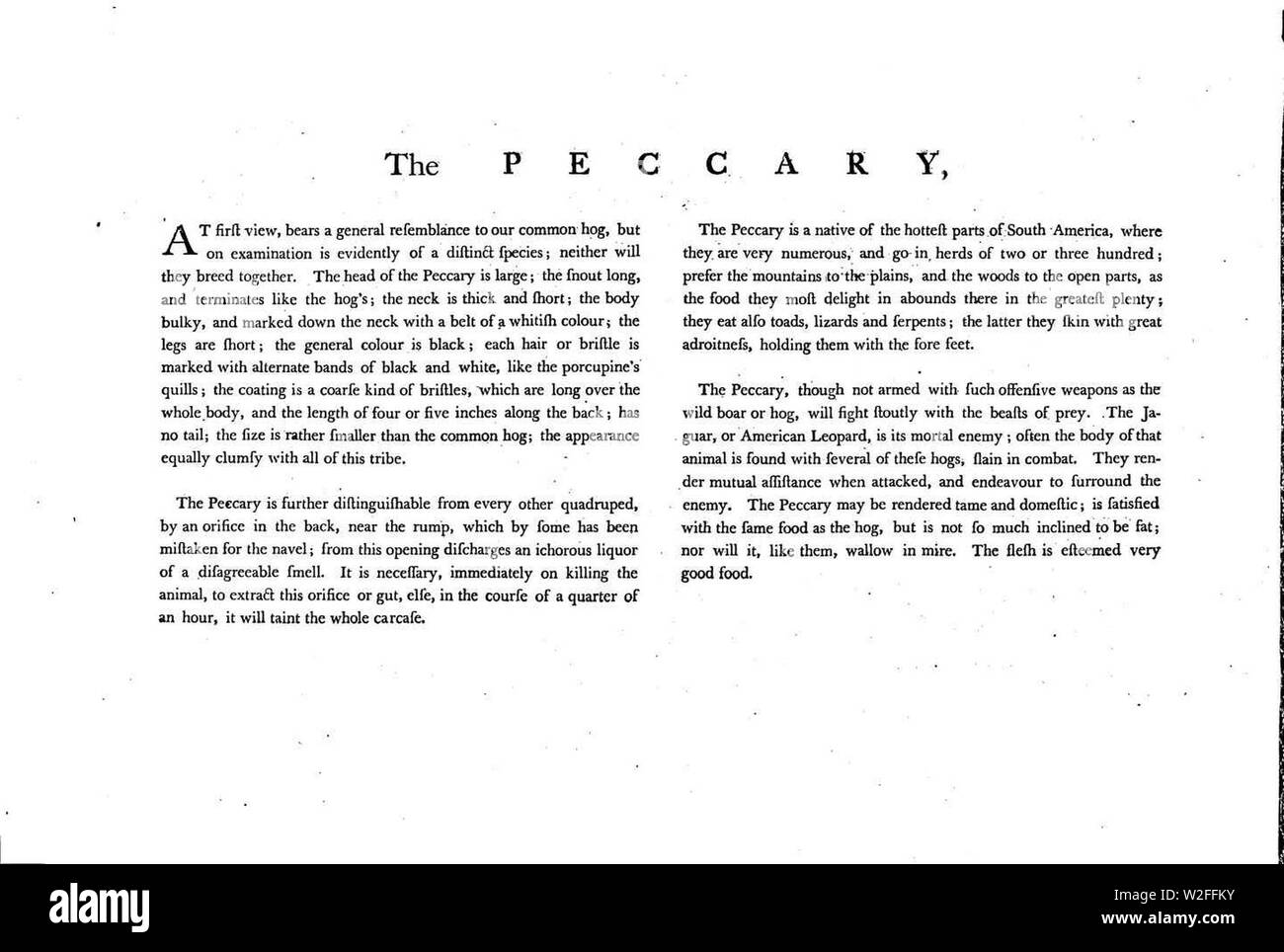 Charles catton hi-res stock photography and images - Alamy