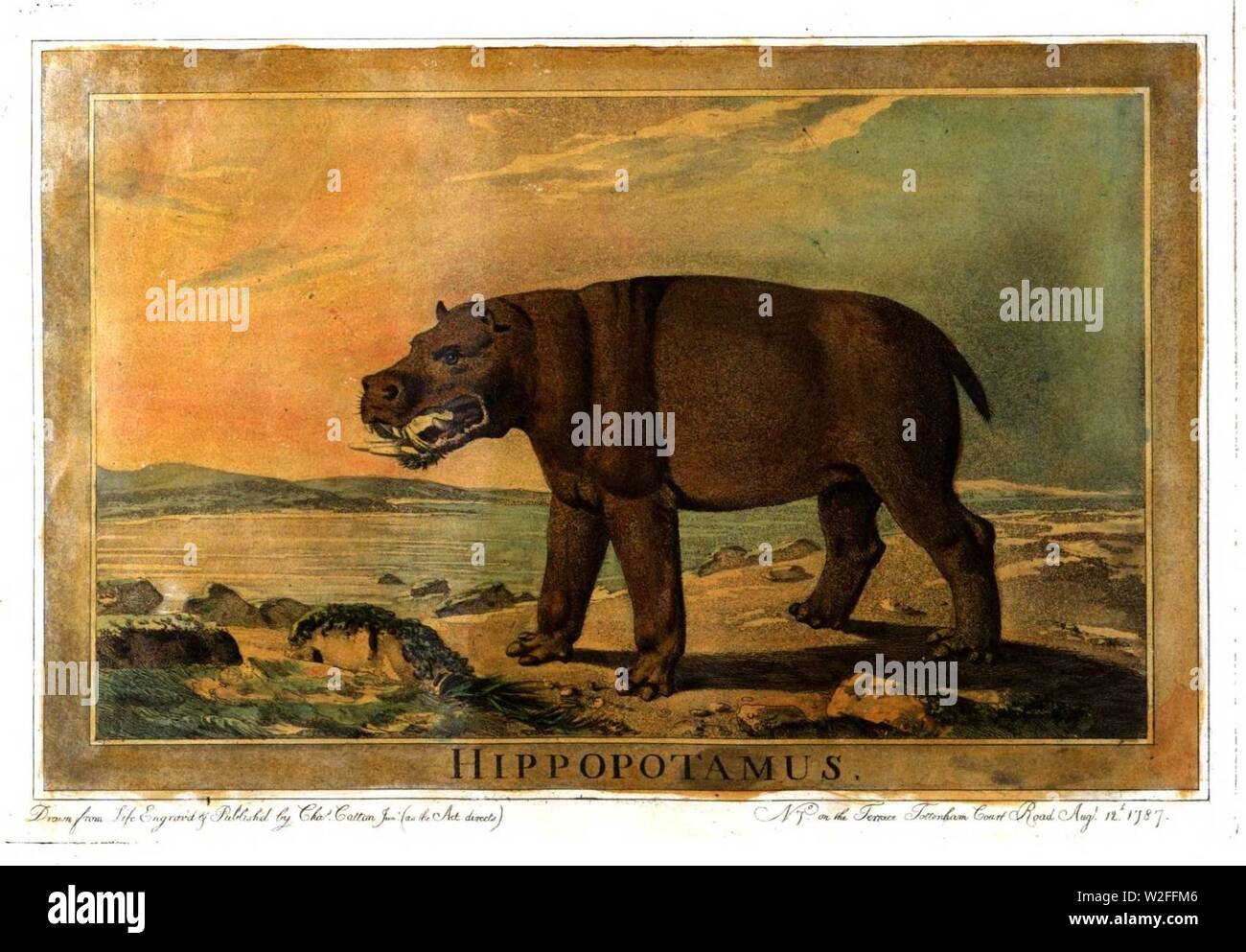 Catton charles Cut Out Stock Images & Pictures - Alamy