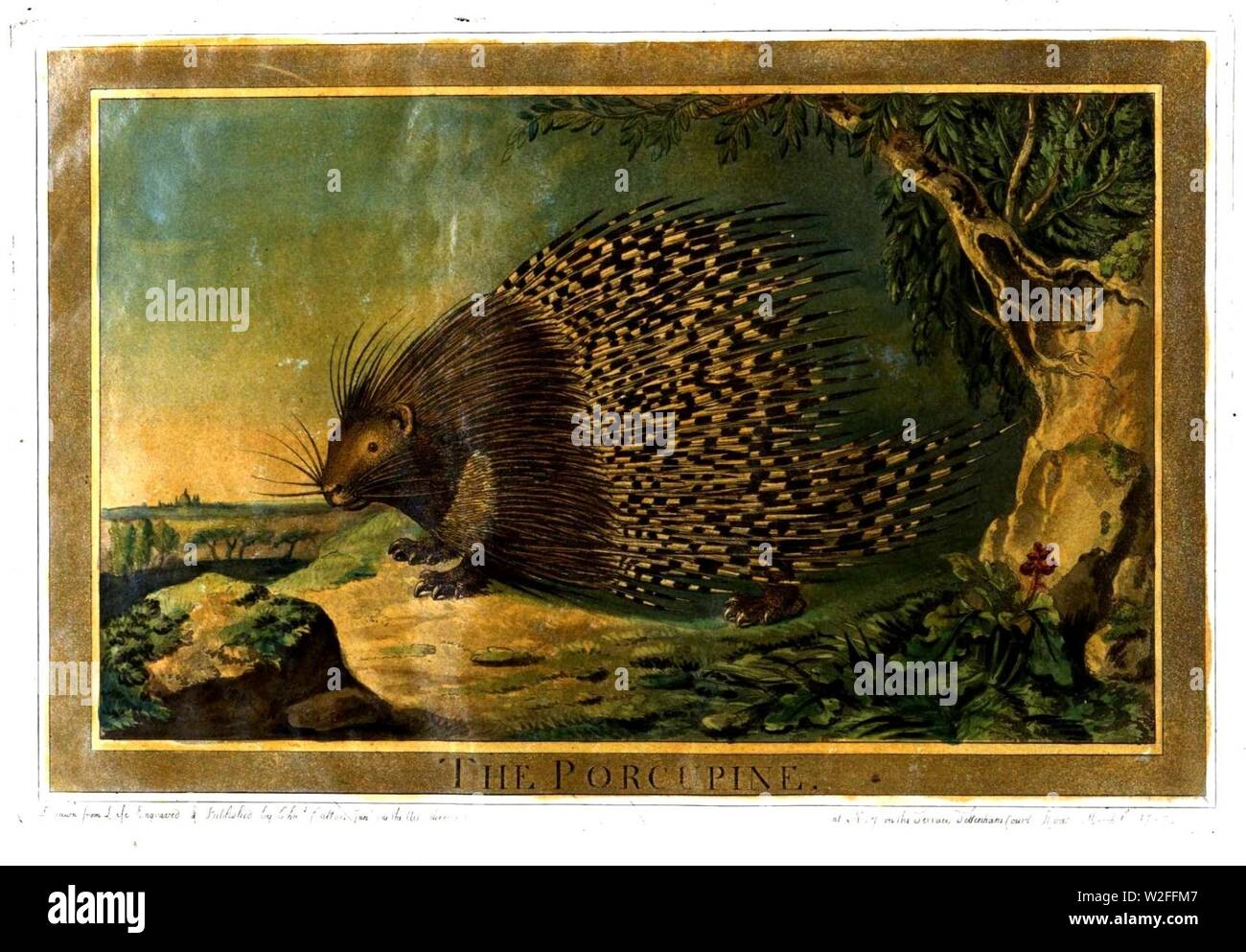 Charles catton hi-res stock photography and images - Alamy