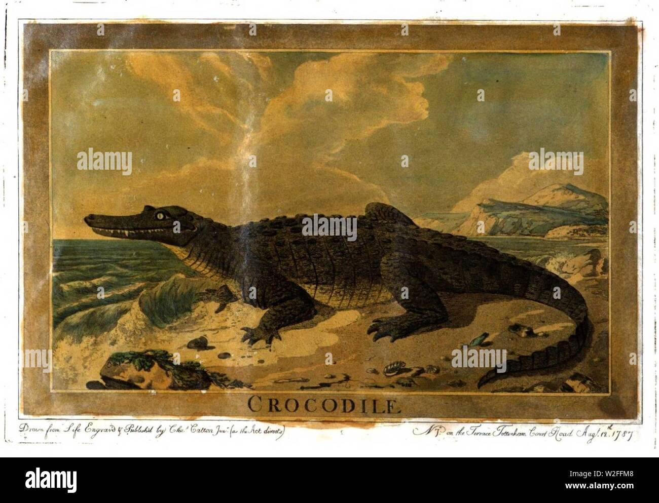 Charles catton hi-res stock photography and images - Alamy