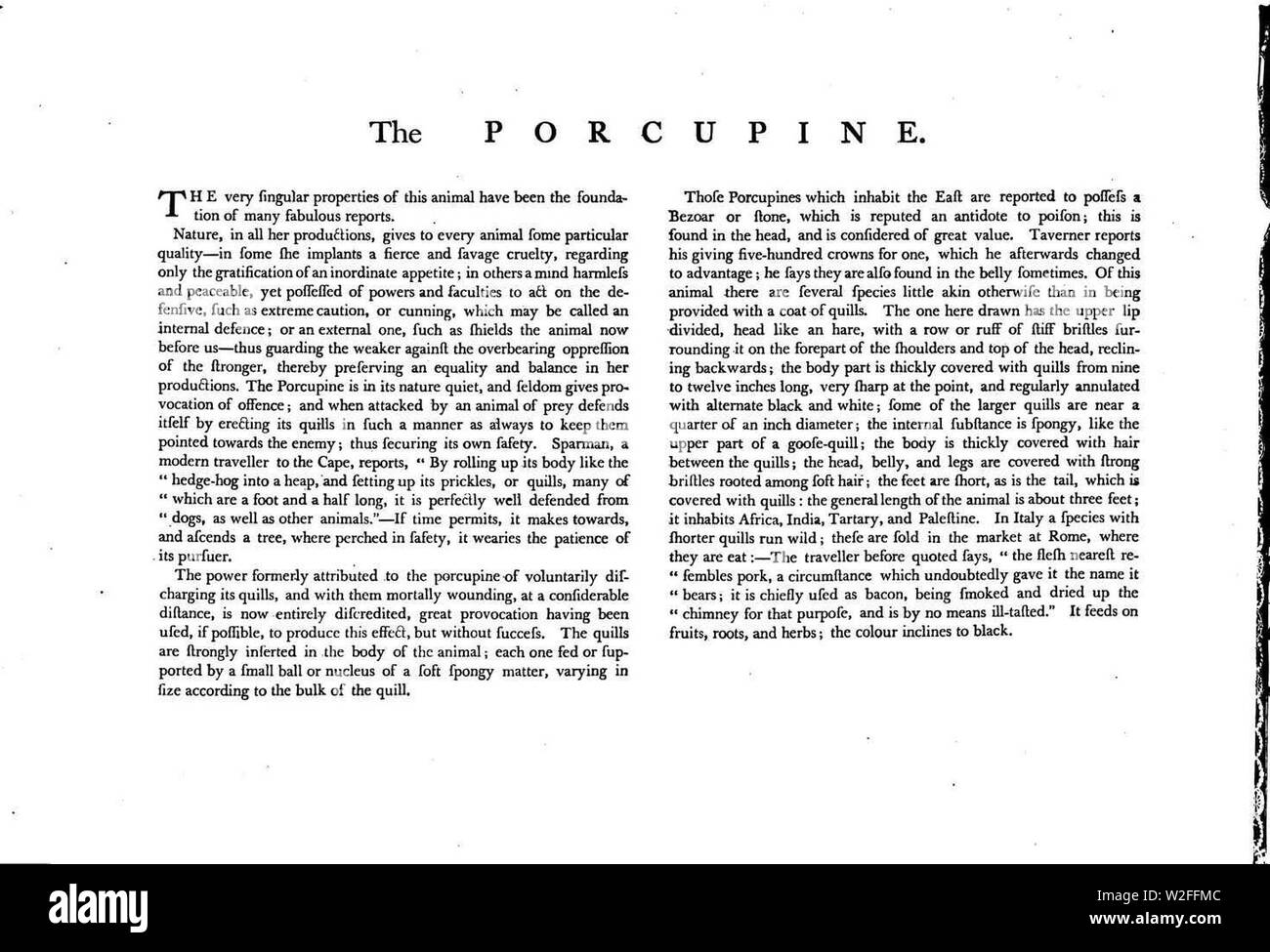 Catton Black and White Stock Photos & Images - Alamy