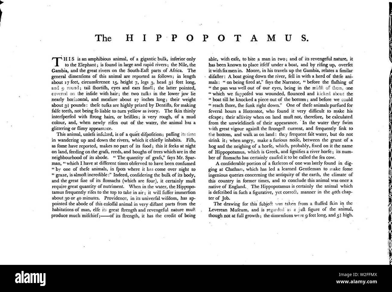 Catton Black and White Stock Photos & Images - Alamy