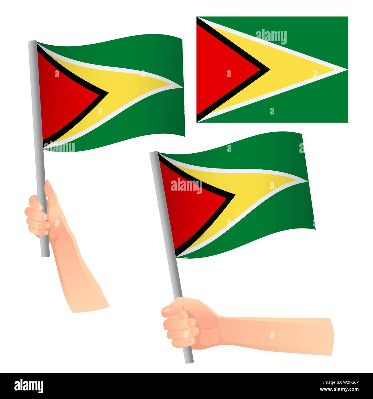 Guyana flag in hand. Patriotic background. National flag of Guyana illustration Stock Photo - Alamy