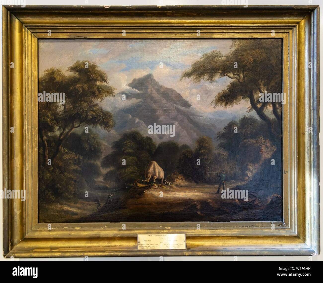 Archival capetown hi-res stock photography and images - Alamy