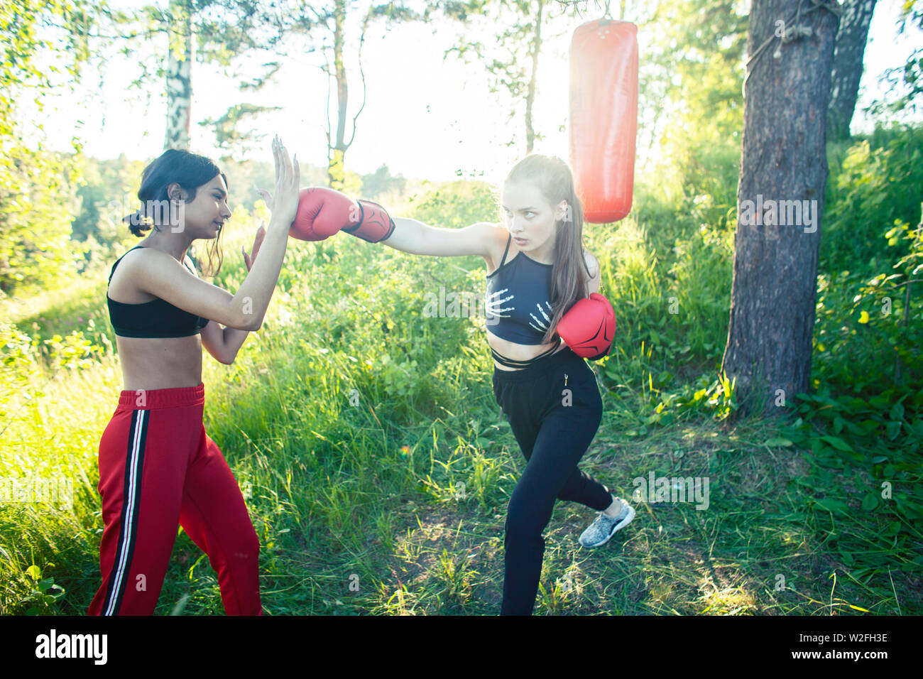 two diverse nations girls fighting boxing outside in green park, sport ...
