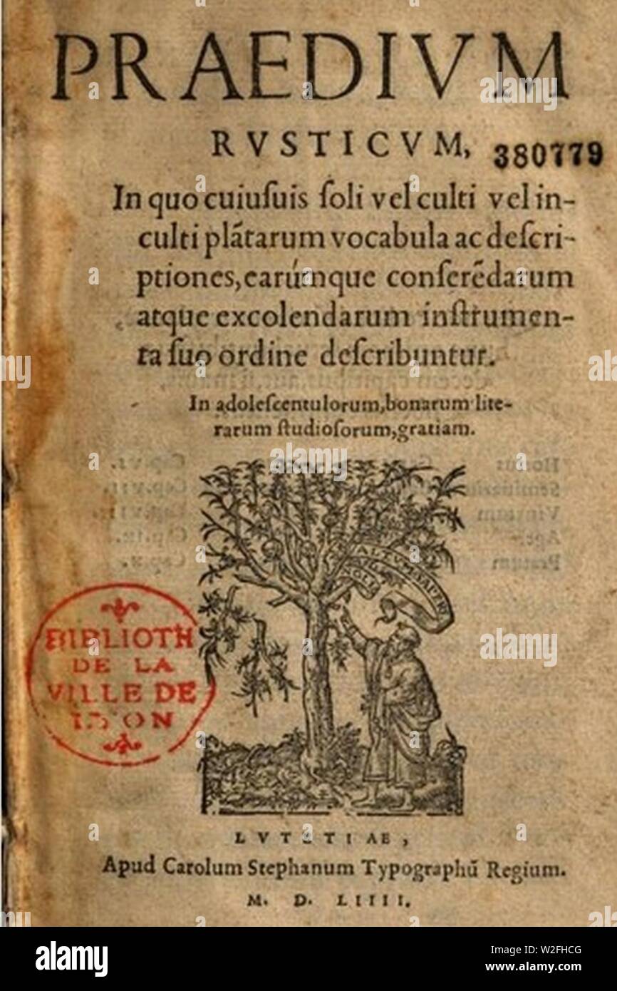 1504 1564 hi-res stock photography and images - Alamy