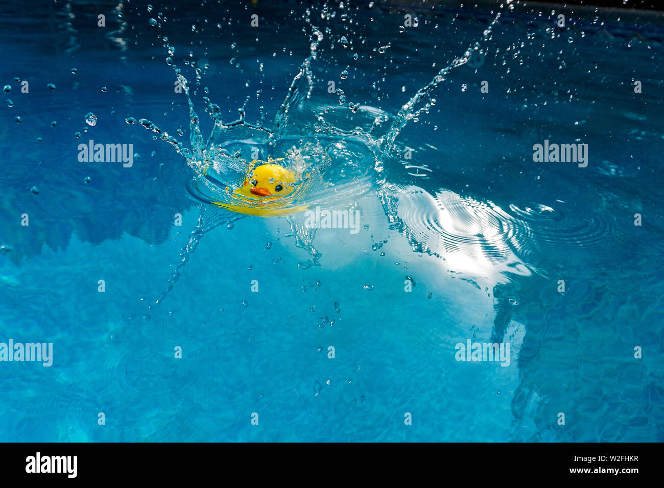 A yellow toy rubber duck plunging into swimming pool creating a splash ...