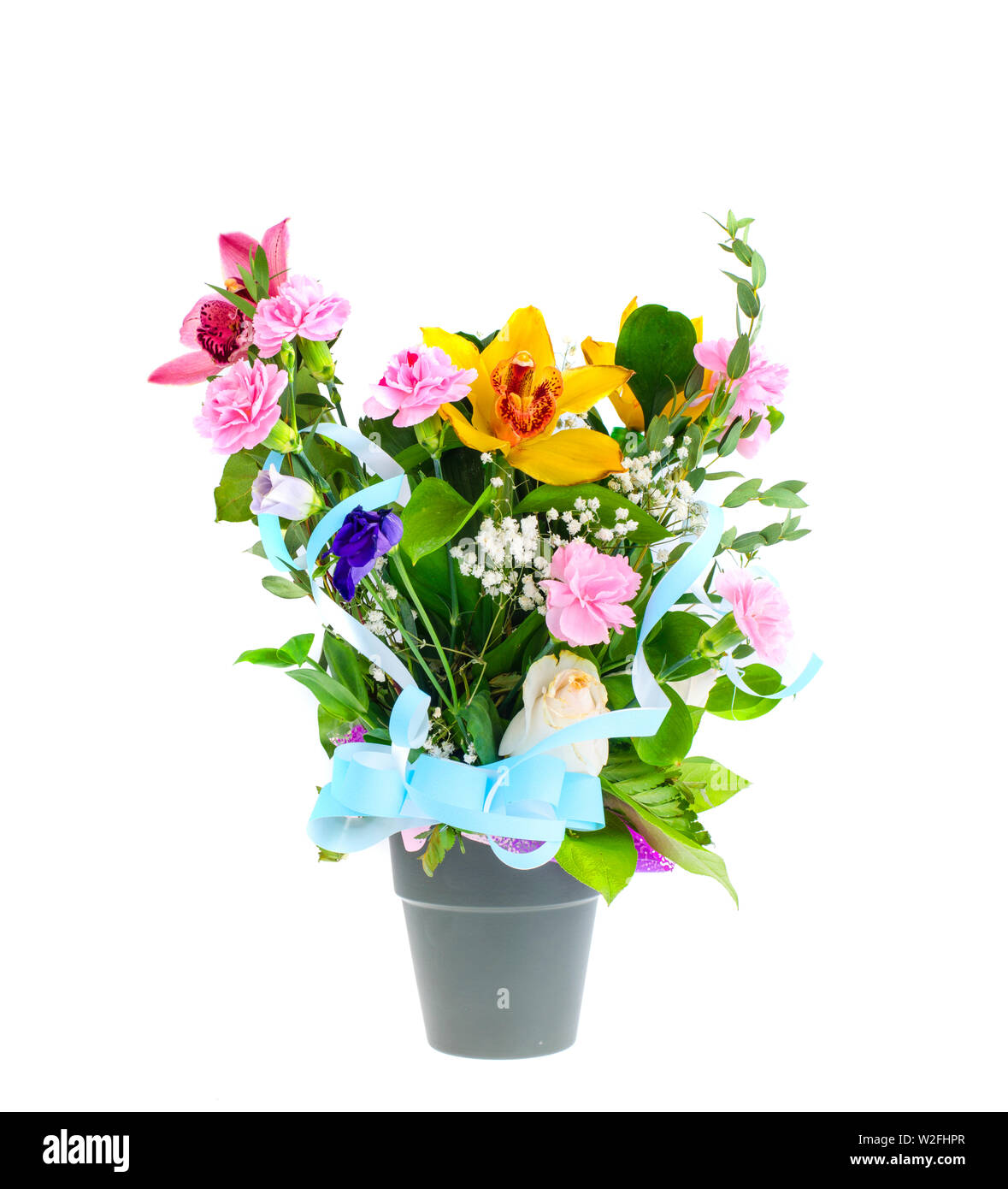 Plants yellow flowers growing Cut Out Stock Images & Pictures - Alamy