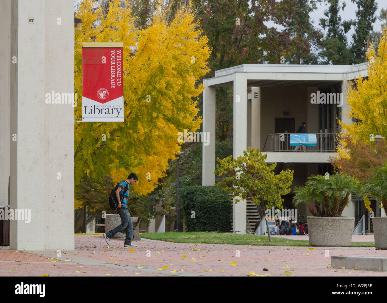 California state university, stanislaus hi-res stock photography and ...