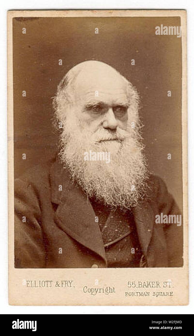 Charlesdarwin Elliott & Fry Stock Photo - Alamy