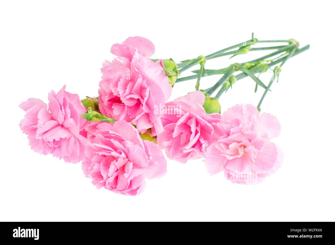 Dreamy pink background Cut Out Stock Images & Pictures - Alamy