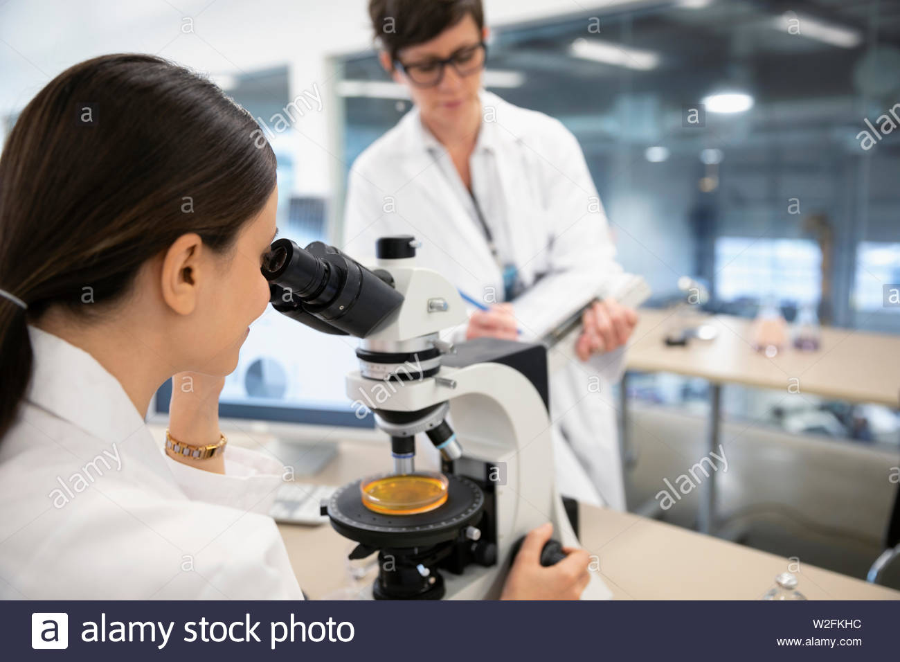 Laboratory under hi-res stock photography and images - Alamy