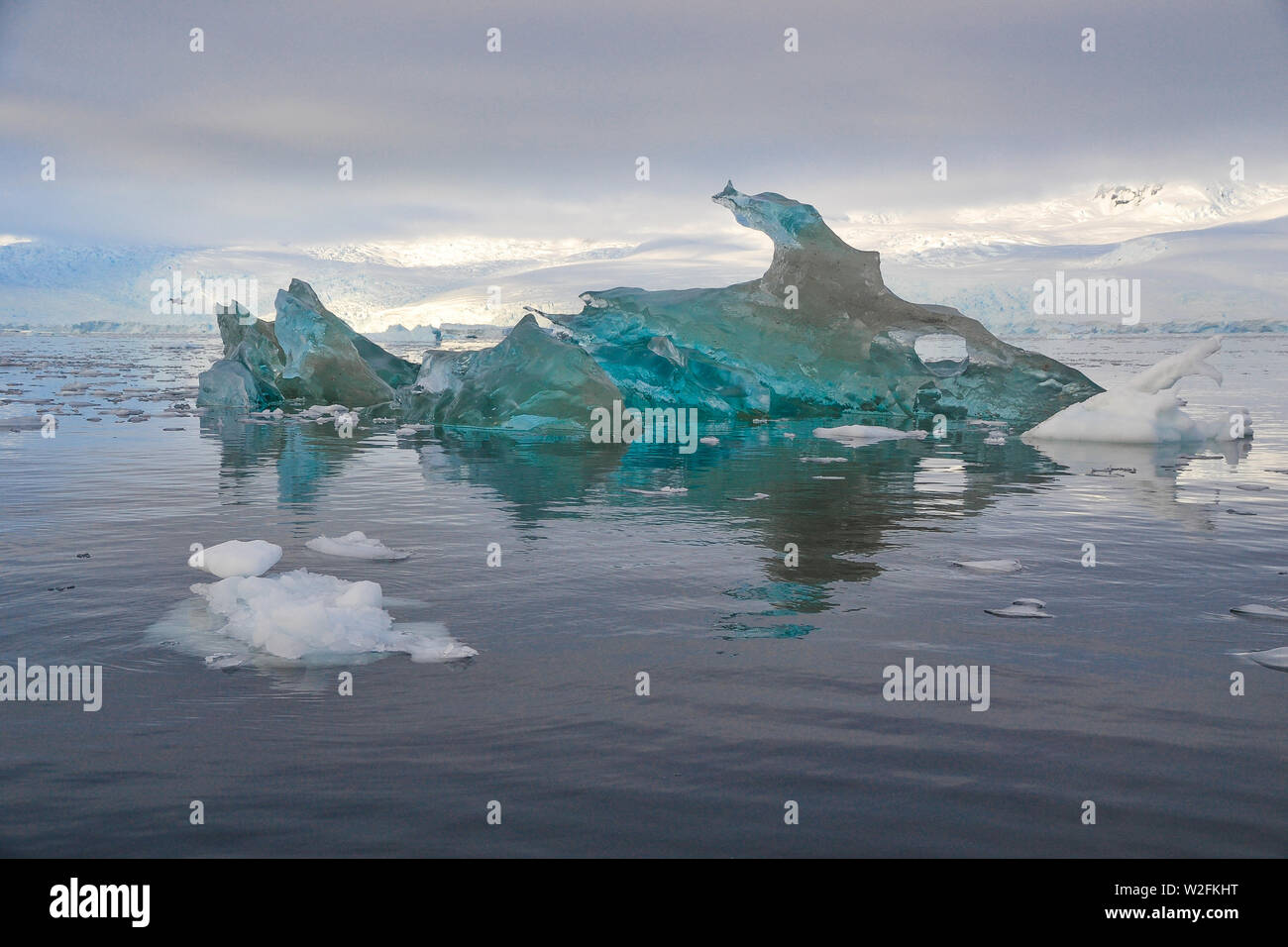 Shark figure made of ice Stock Photo - Alamy