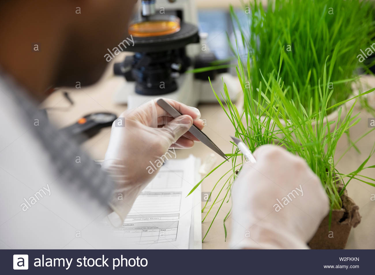 Environmental technology laboratory hi-res stock photography and images ...