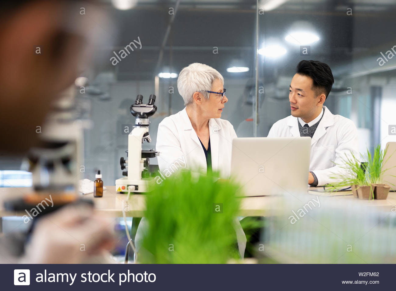 Environmental technology laboratory hi-res stock photography and images ...