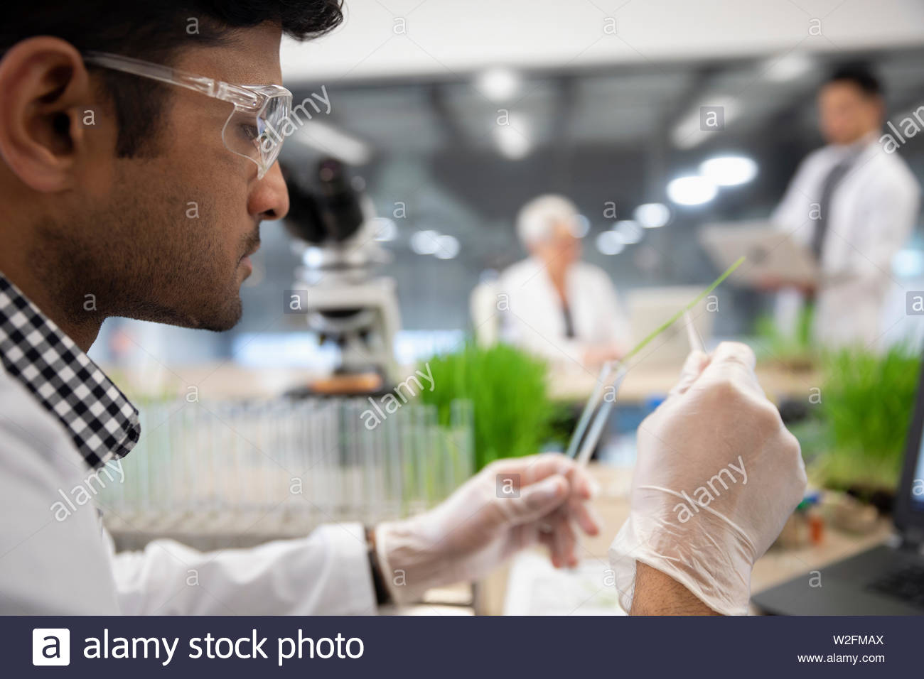 Stem occupation hi-res stock photography and images - Alamy
