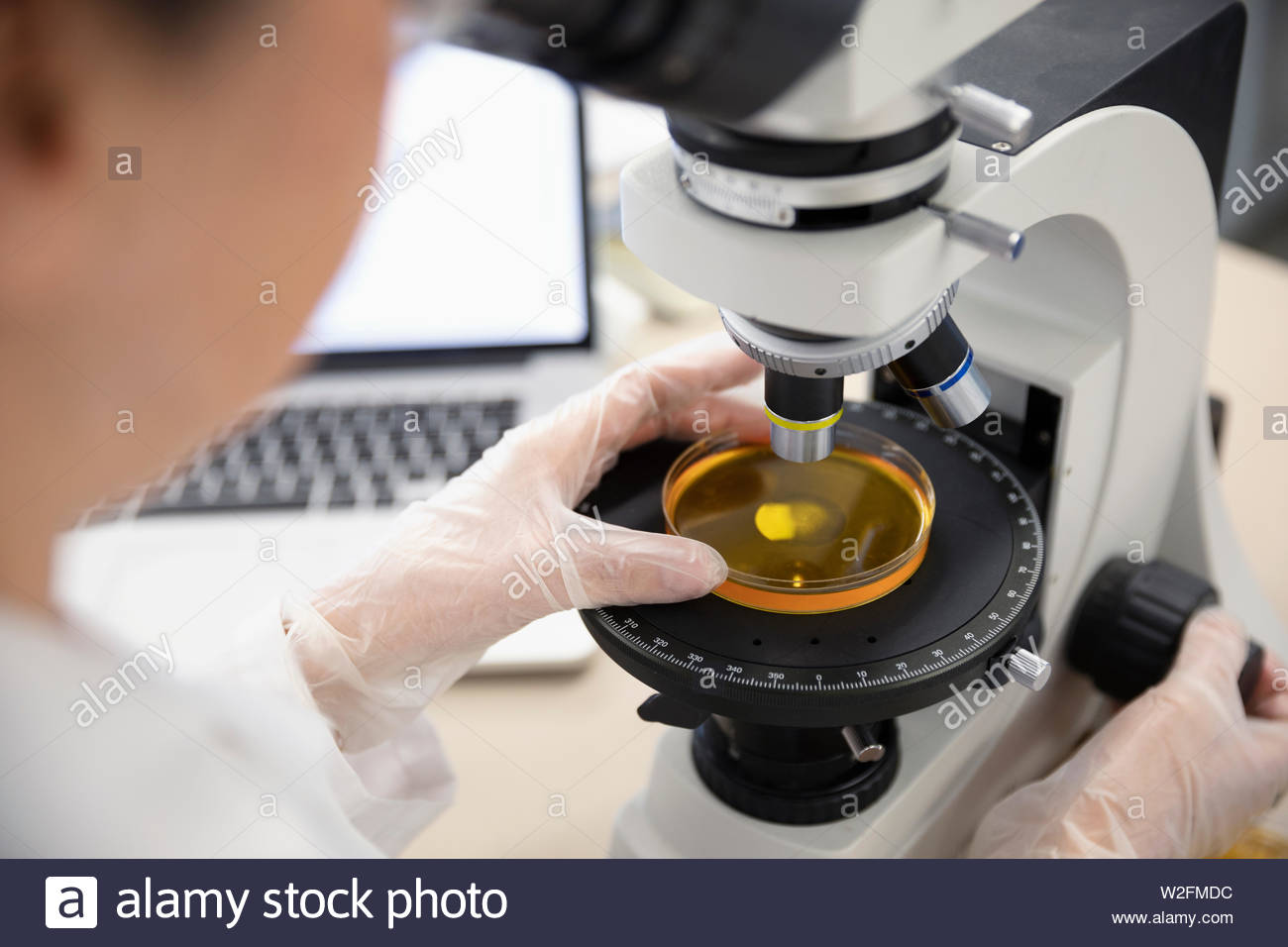 Horizontal microscope hi-res stock photography and images - Alamy