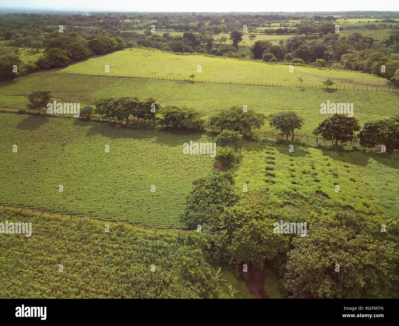 Agriculture aerial view hi-res stock photography and images - Alamy