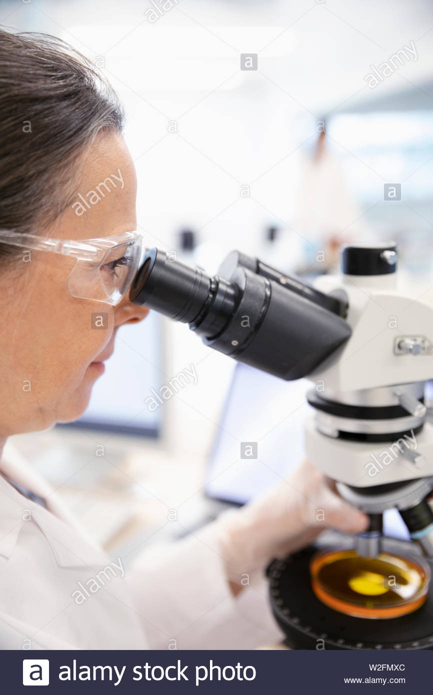 Petri dish scientist hi-res stock photography and images - Alamy