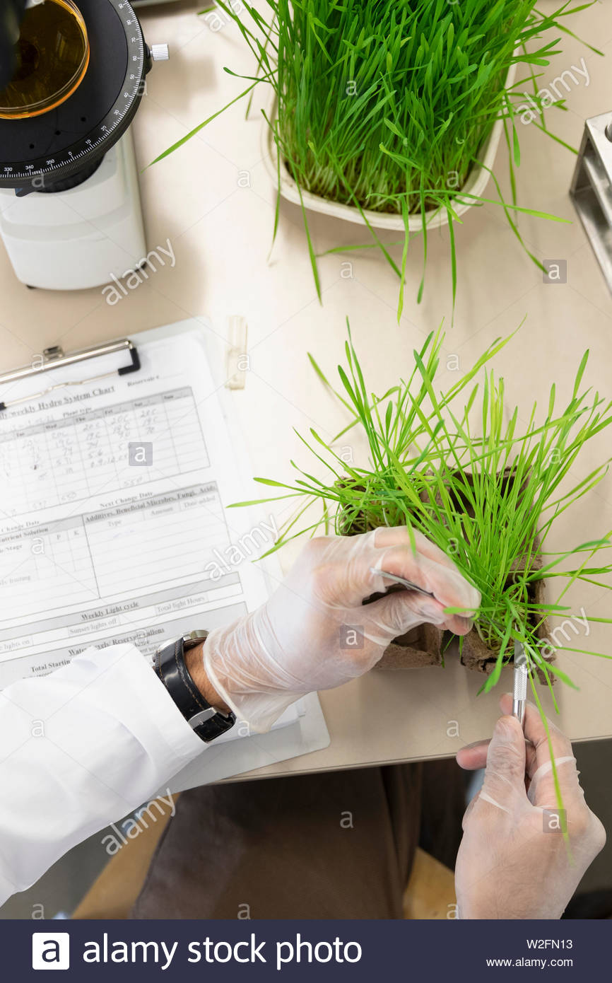 Laboratory view hi-res stock photography and images - Alamy