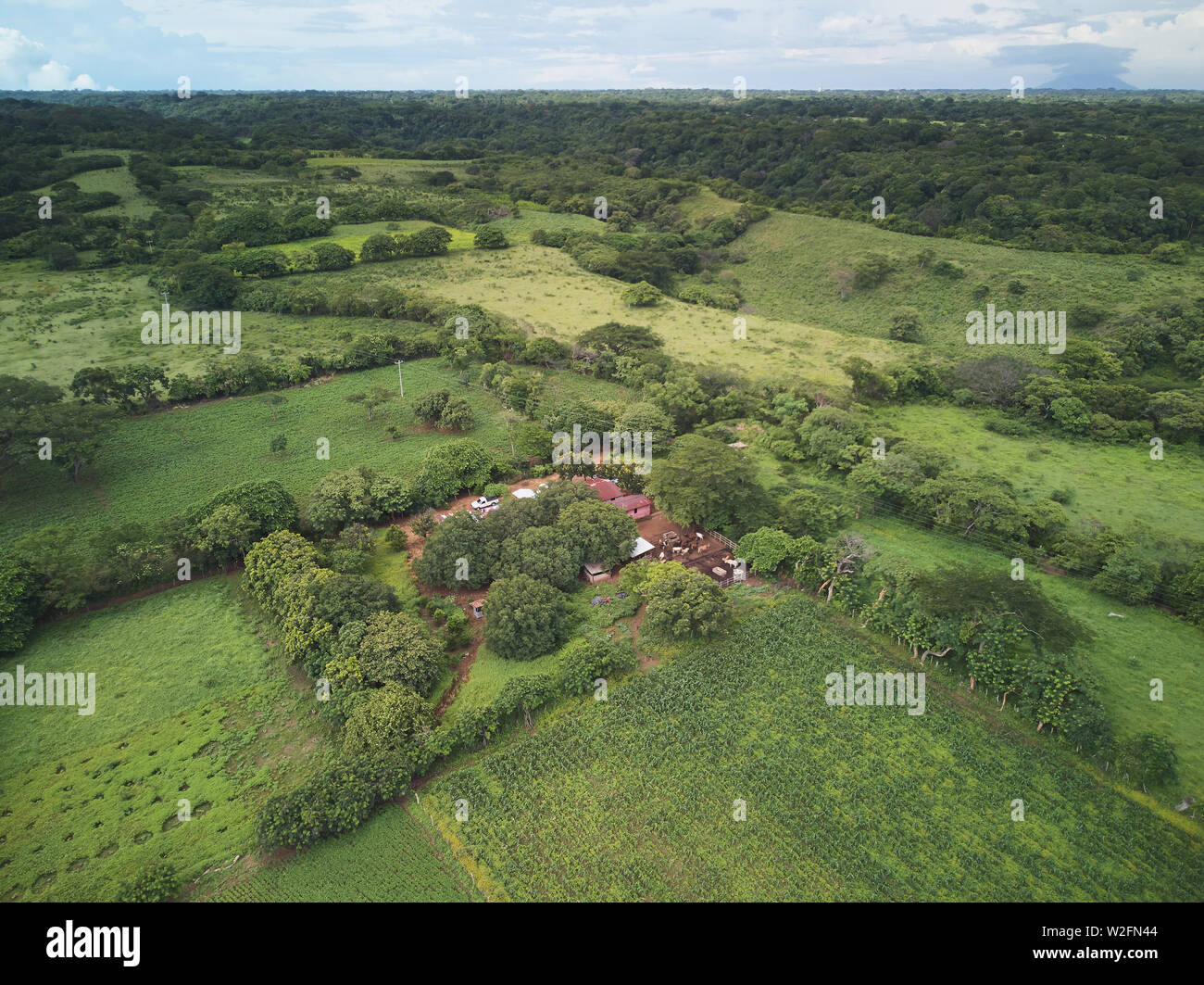 Green landscape natural background aerial above top view Stock Photo ...