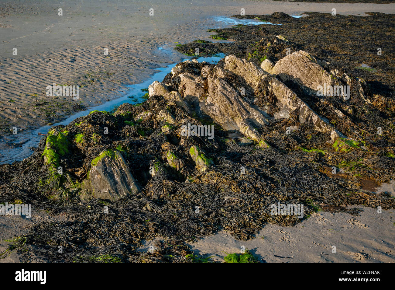 Protruding rock formations at low tide on Douglas beach, Isle of Man ...
