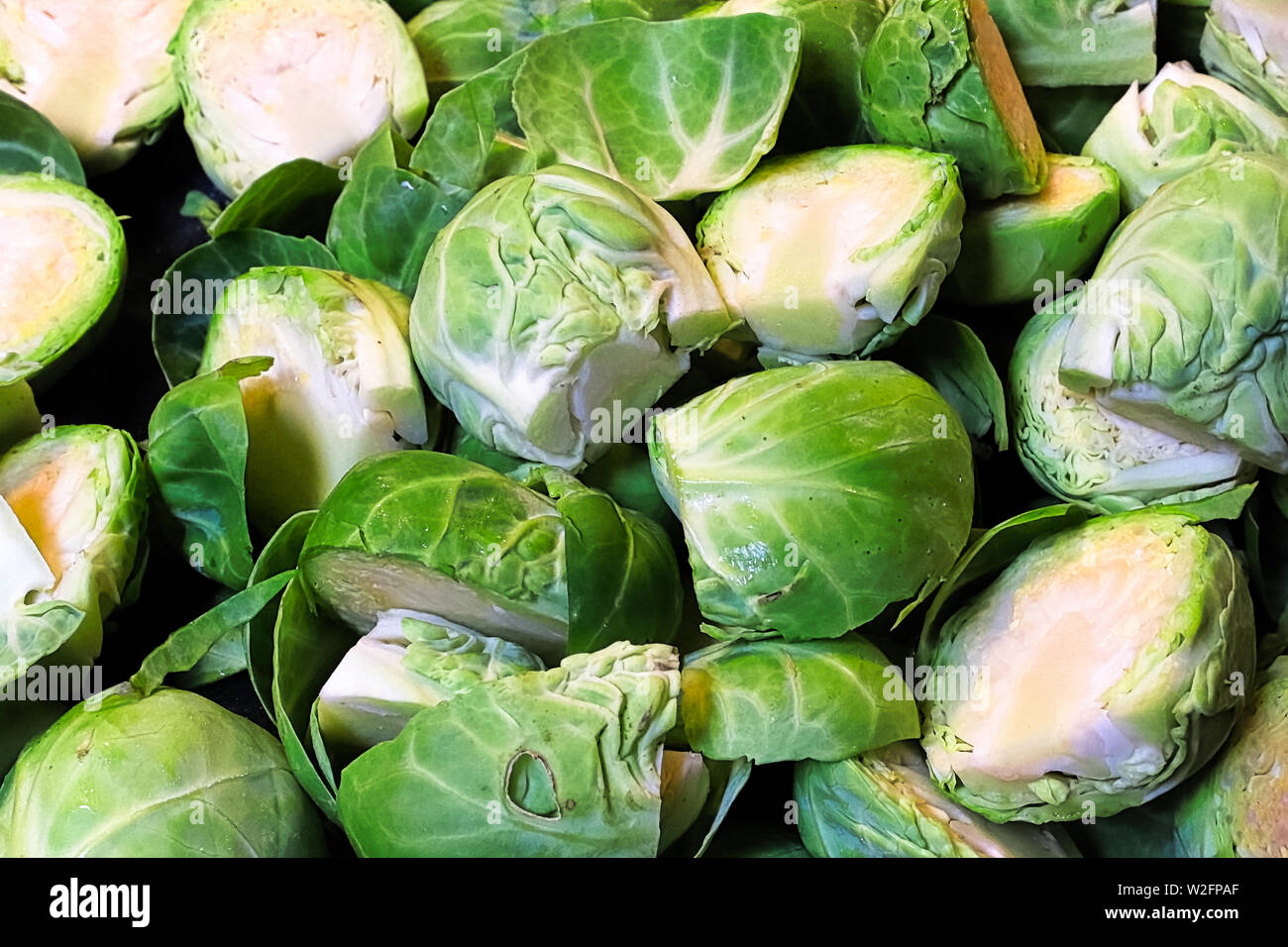 Bussel hi-res stock photography and images - Alamy