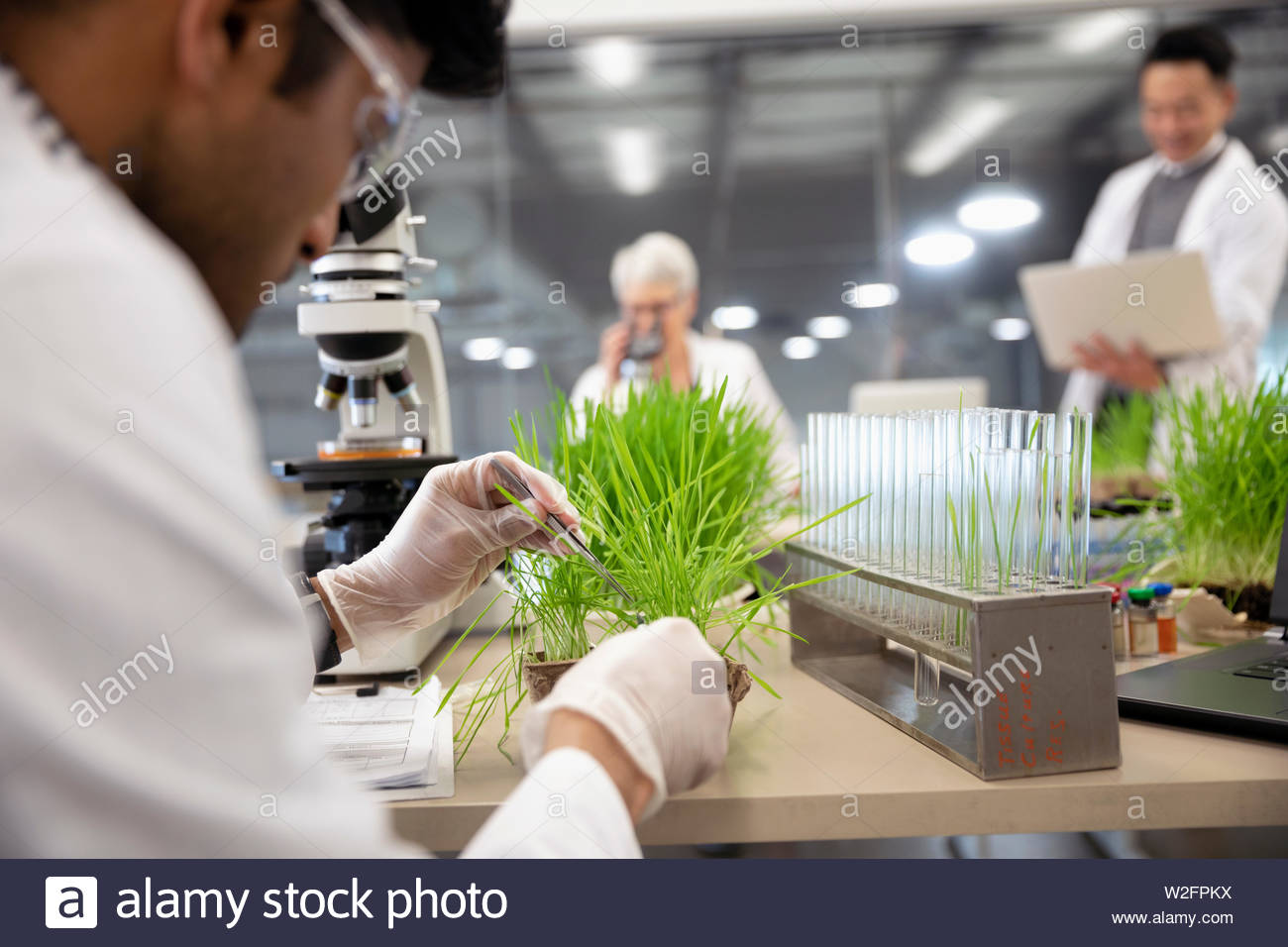 Earth scientist hi-res stock photography and images - Alamy