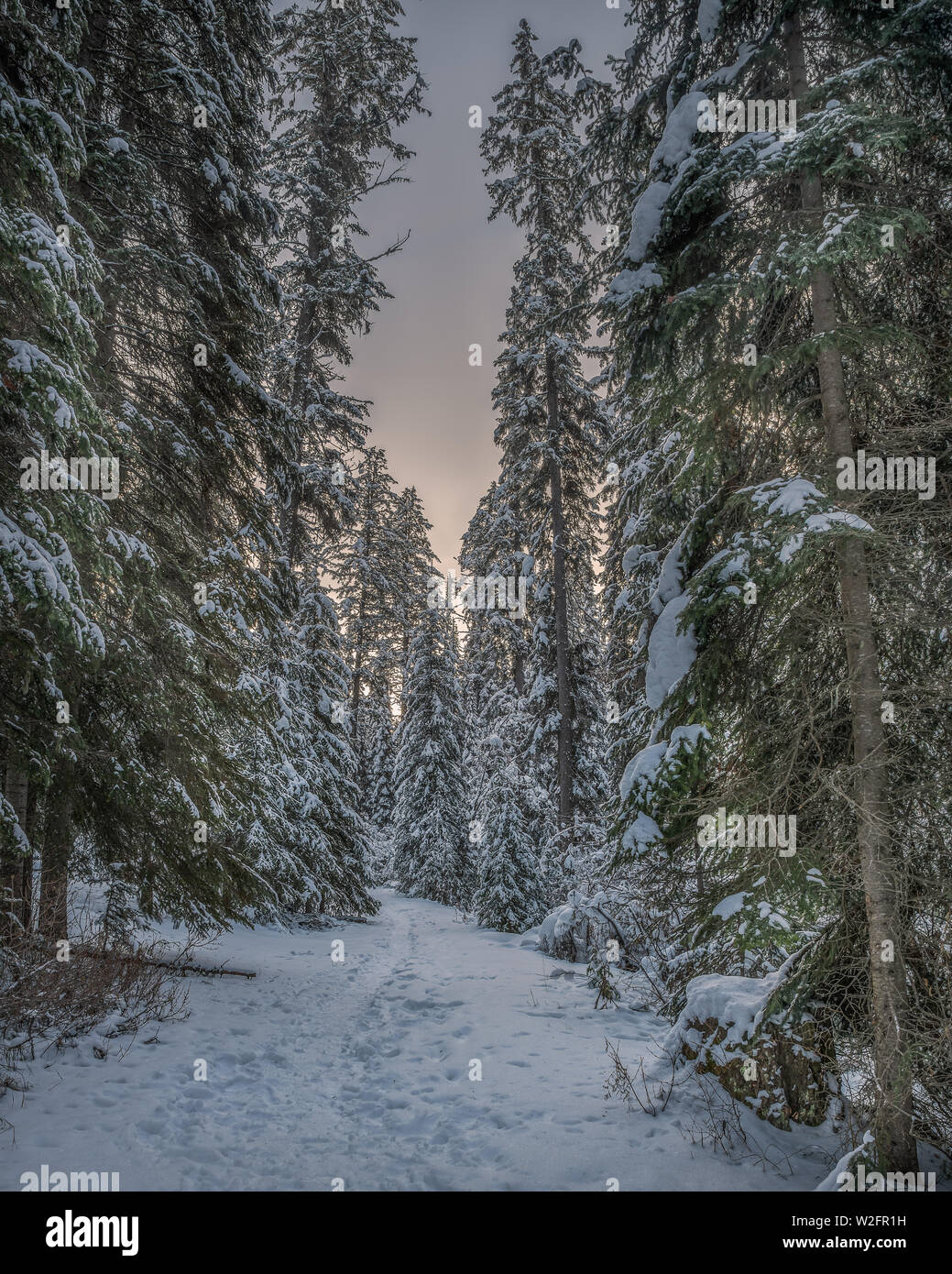 Snowshoeing british columbia hi-res stock photography and images - Alamy