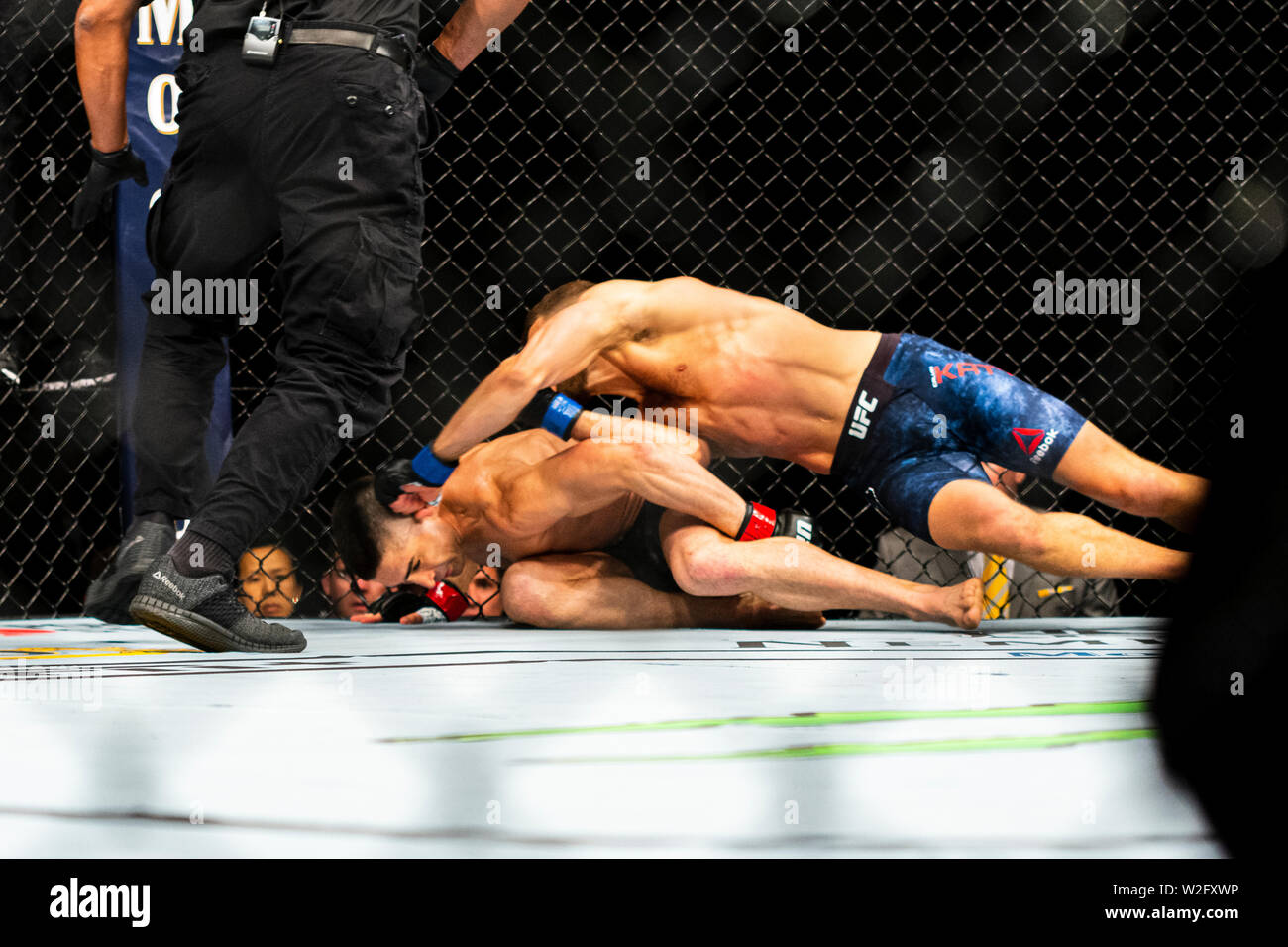 Chicago, IL, United States - June 8, 2019: Ricardo Lamas fighting ...