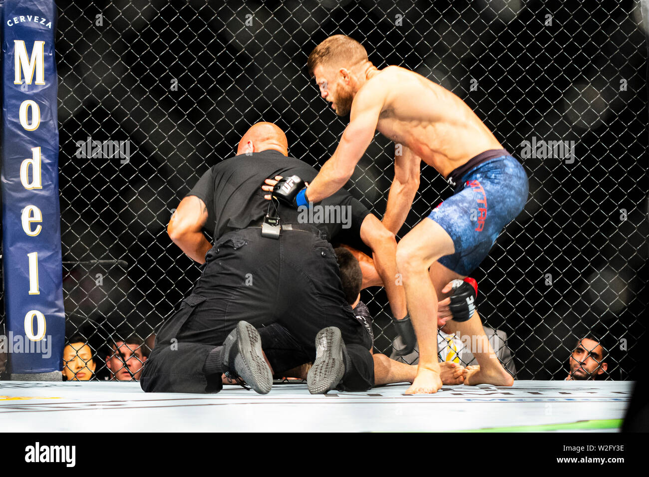 Chicago, IL, United States - June 8, 2019: Ricardo Lamas fighting ...
