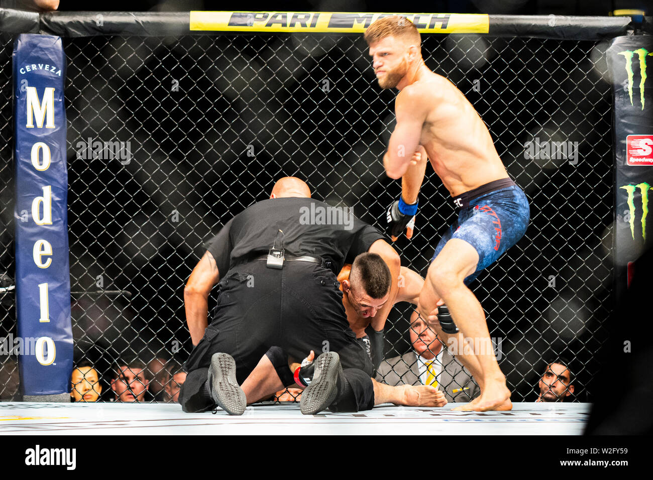 Chicago, IL, United States - June 8, 2019: Ricardo Lamas fighting ...