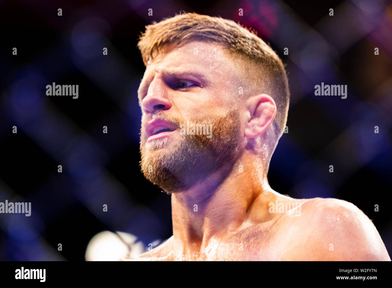 Dana white joe rogan hi-res stock photography and images - Alamy