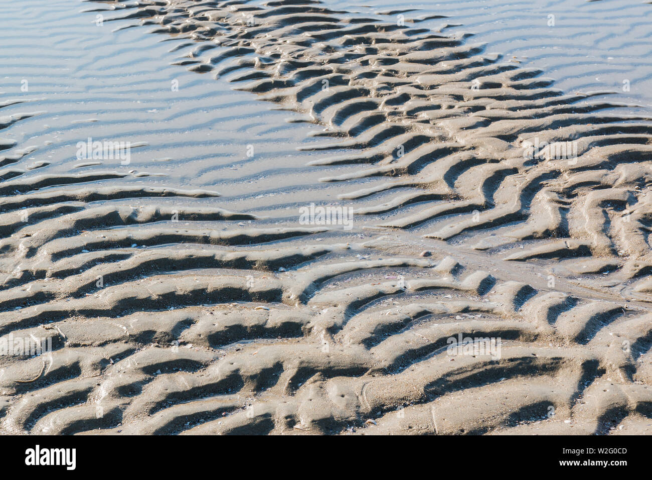 Sand surface on the beach, perspective front view Stock Photo - Alamy