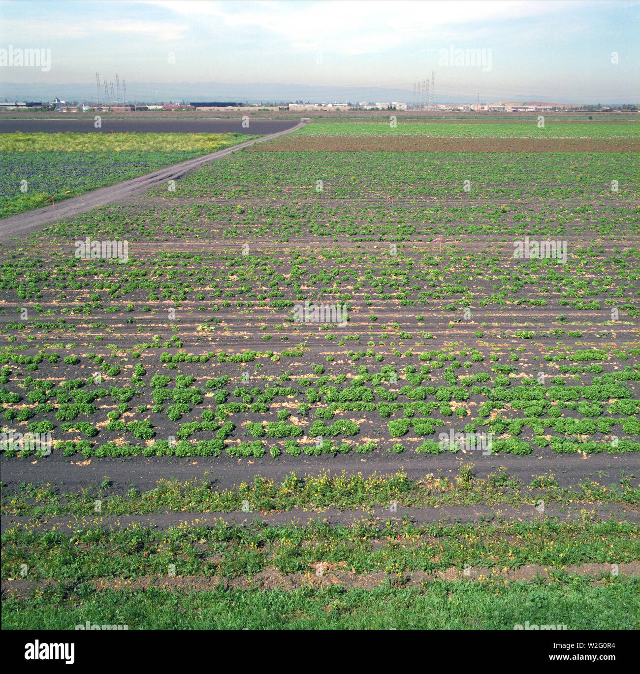 Numerical simulation hi-res stock photography and images - Alamy