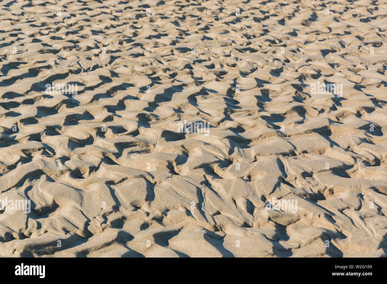 Sand surface on the beach, perspective front view Stock Photo - Alamy