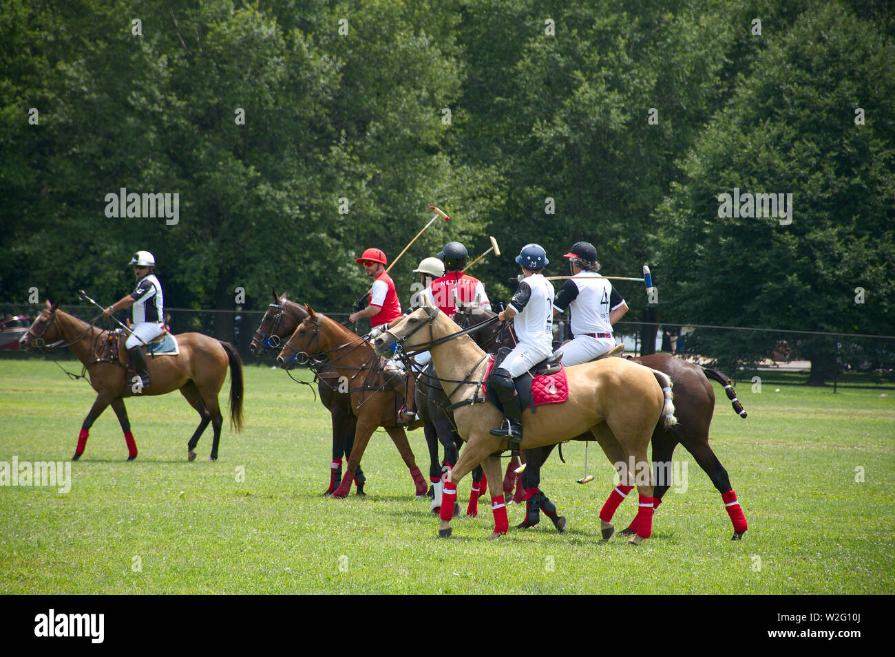 Washington dc tournament hi-res stock photography and images - Alamy