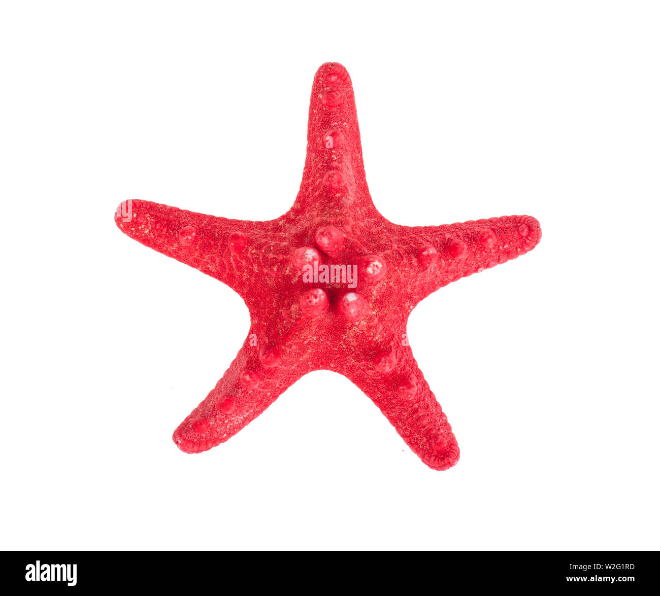 Starfish arm red hi-res stock photography and images - Alamy