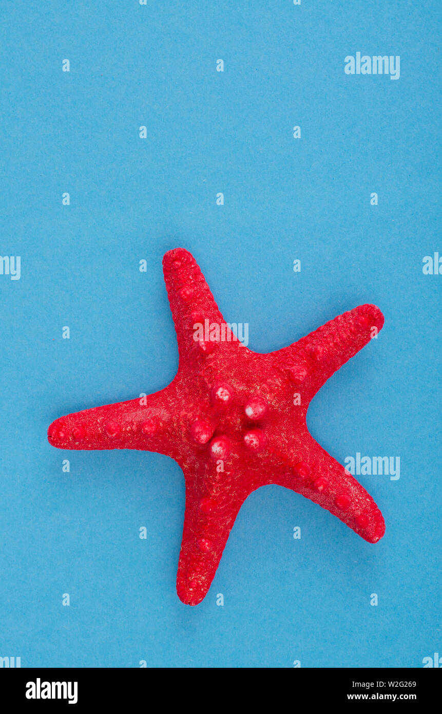 Starfish arm red hi-res stock photography and images - Alamy