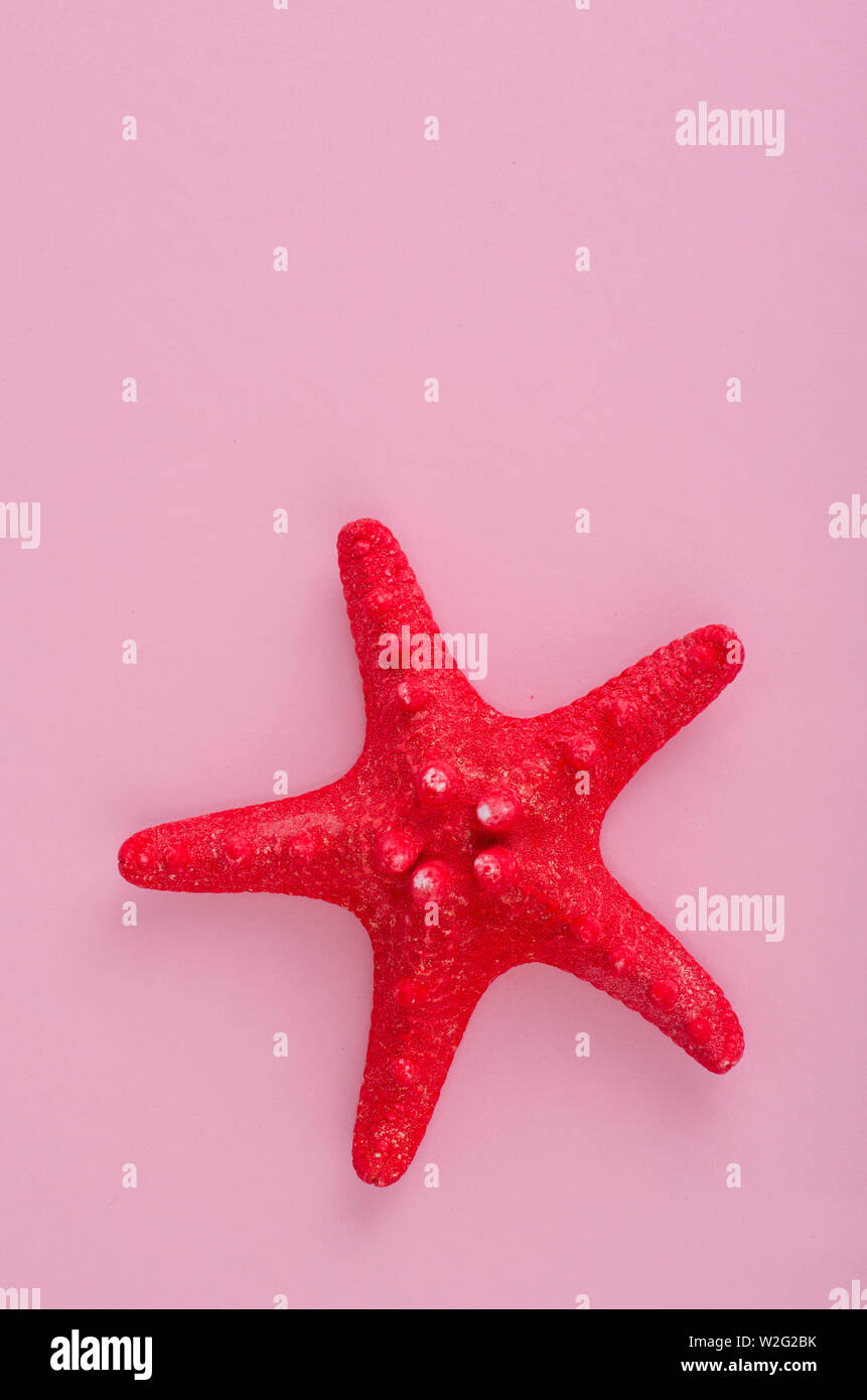 Starfish arm red hi-res stock photography and images - Alamy