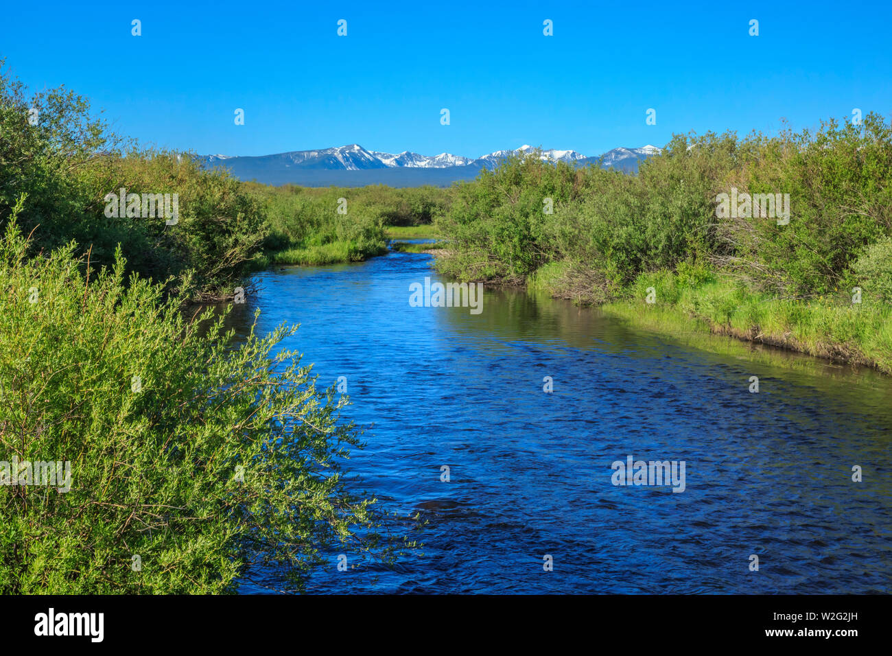 upper big hole river below the beaverhead mountains near jackson ...