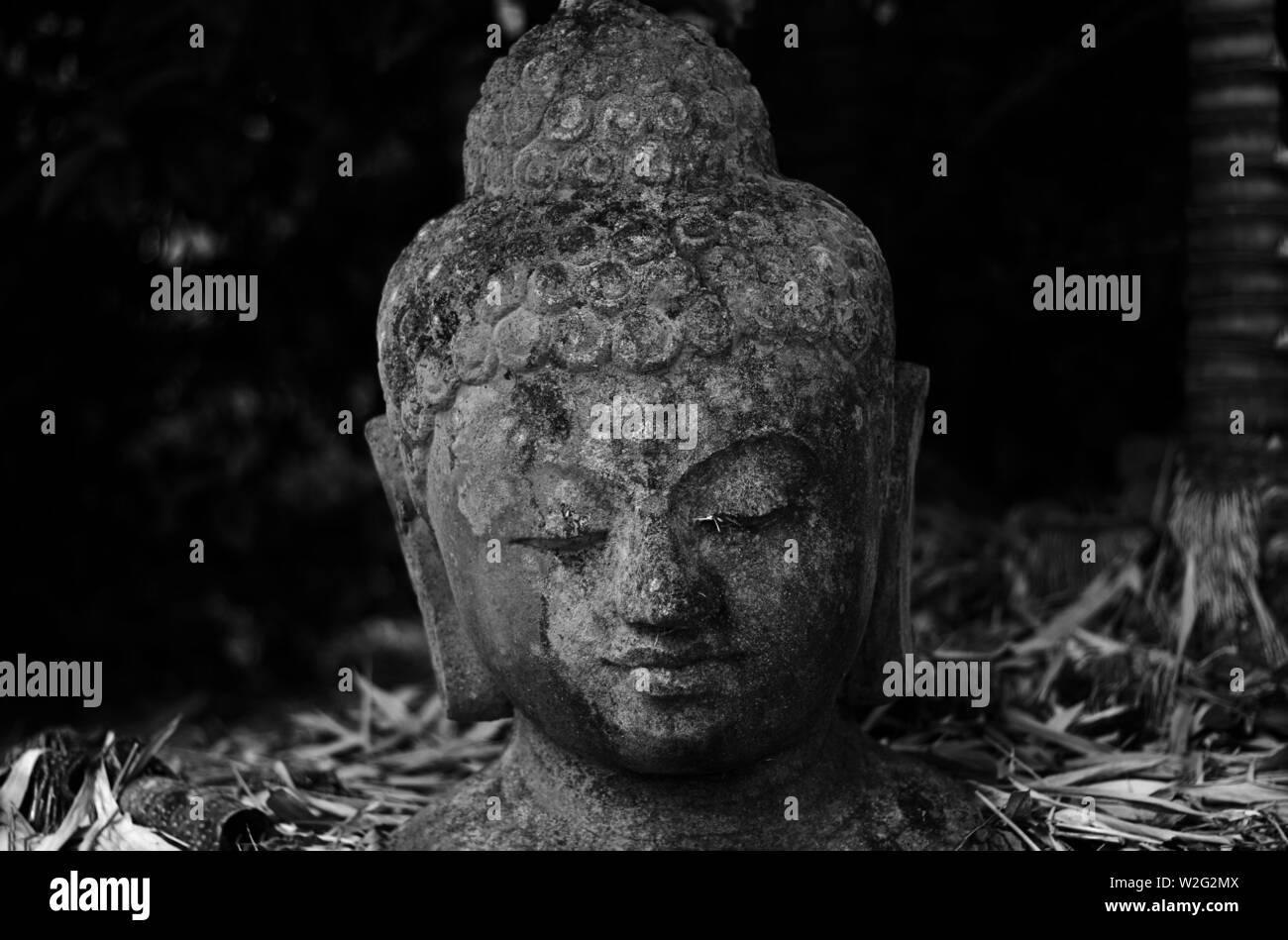 statue in a florida field Stock Photo - Alamy